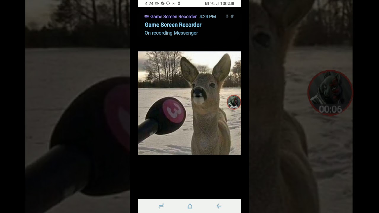 Funny Talking Deer - YouTube