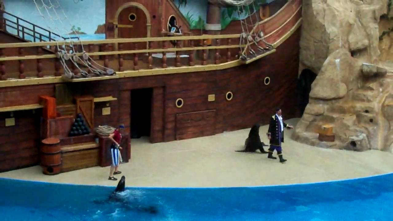 Sea World - Sea Otters and Walrus Pirate show (Part 1) - YouTube