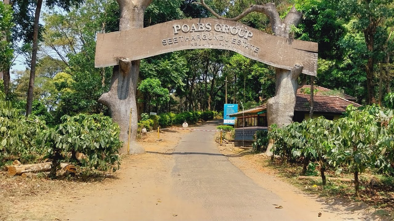 🌲POABS GROUP seethargu nduestate 🌲🌲 - YouTube