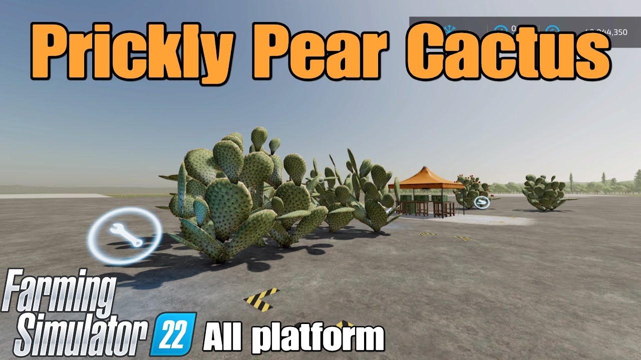 Prickly Pear Cactus / FS22 mod for all platforms - YouTube