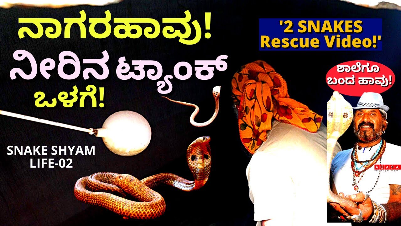 "ನೀರಿನ ಟ್ಯಾಂಕ್ ಒಳಗೆ ಬಿದ್ದ ನಾಗರಹಾವು ಹಿಡಿದ ಸ್ನೇಕ್ ಶ್ಯಾಮ್!"-Ep02-Snake ...