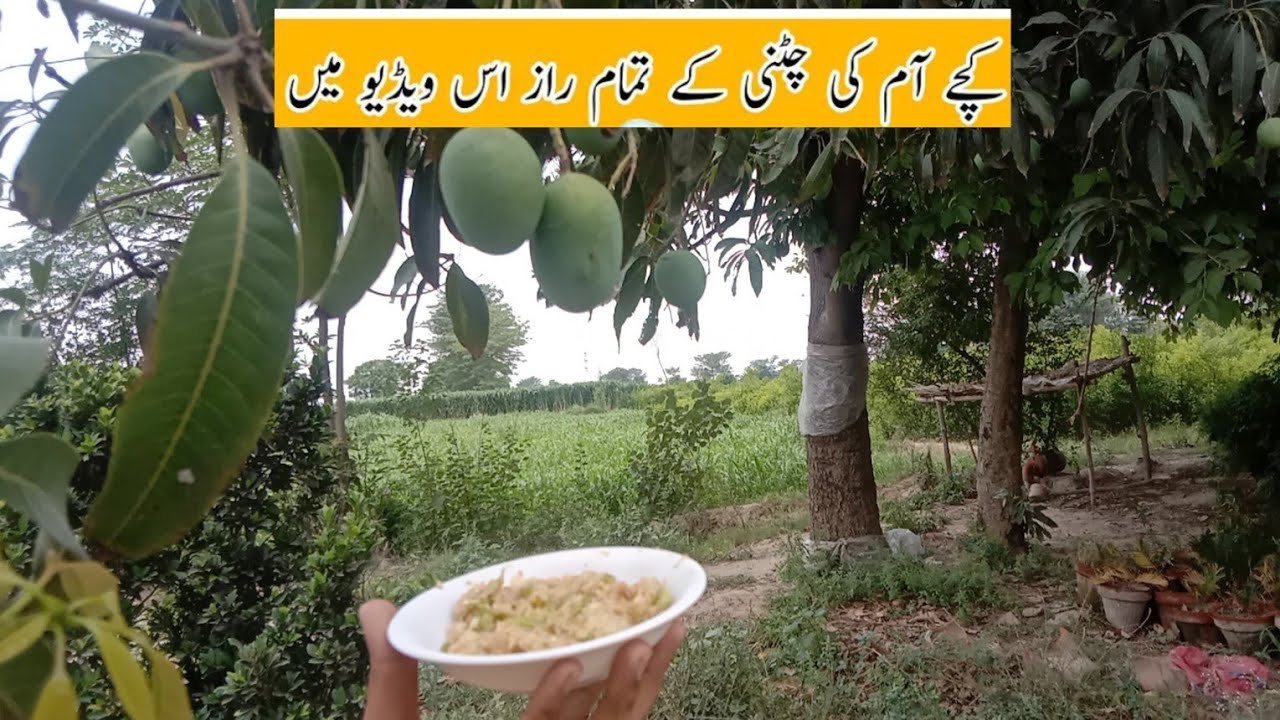kacche aam ki chutney|Aam aur pyaz ki chutney recipe|Rew mango chutney ...