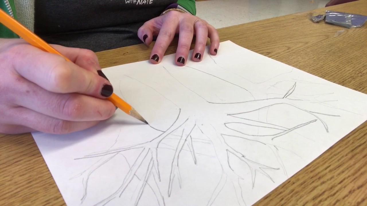 Overlapping Trees - YouTube