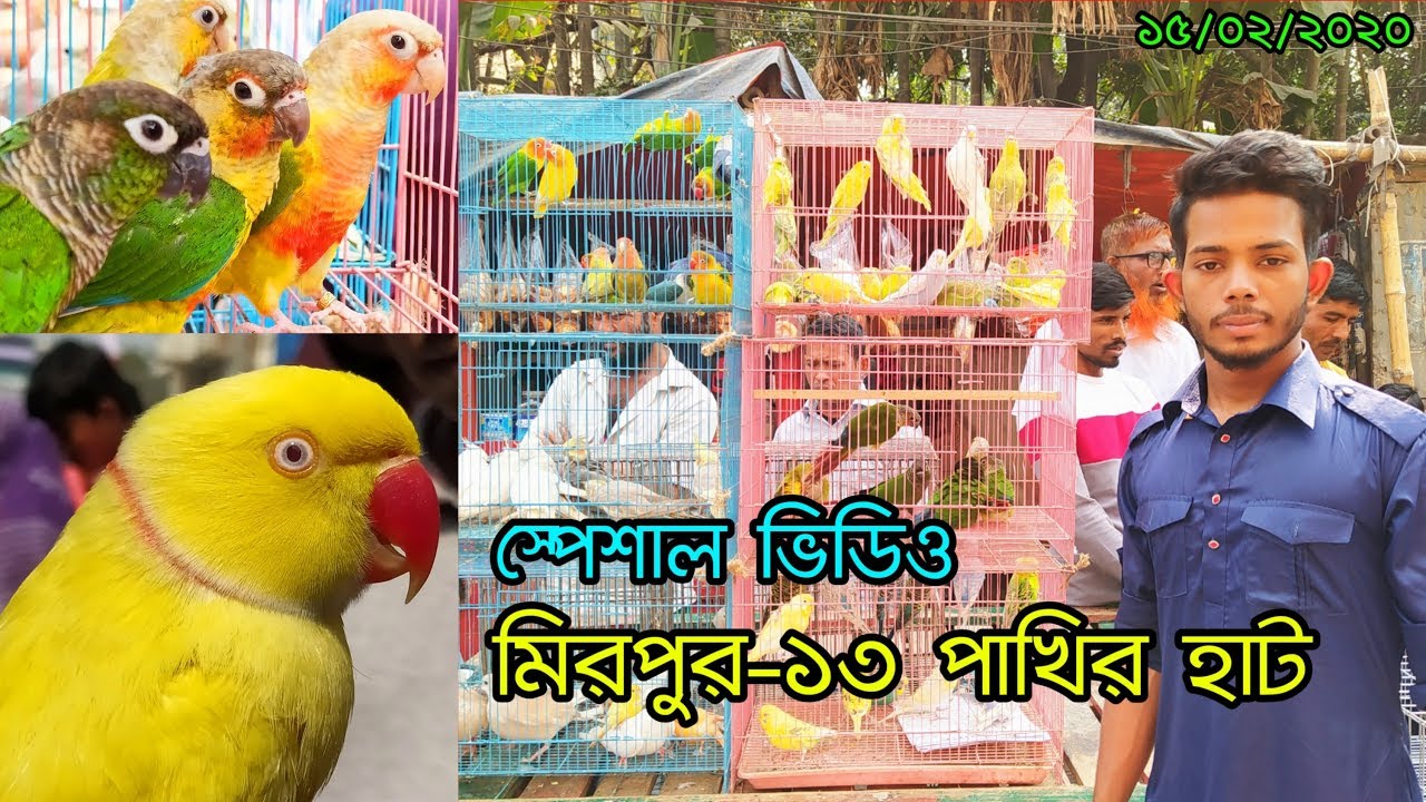মিরপুর-১৩ পাখির হাট | স্পেশাল চমক বক্স ভিডিও | Pakhi Palon Bangla ...