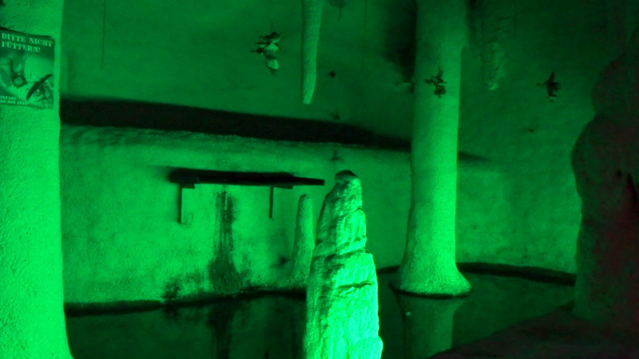 Bat cave at Munich Zoo - YouTube