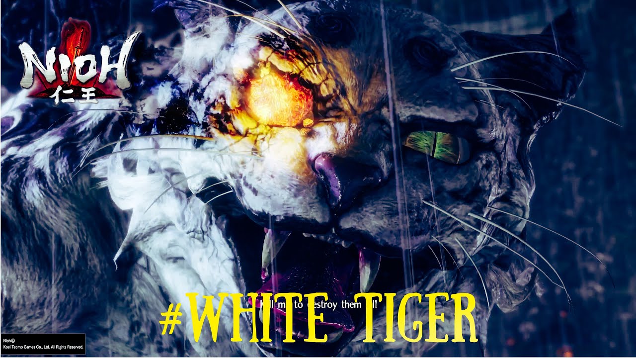 Nioh I CONQUERED White Tiger Boss Fight FIRST TRY! - YouTube