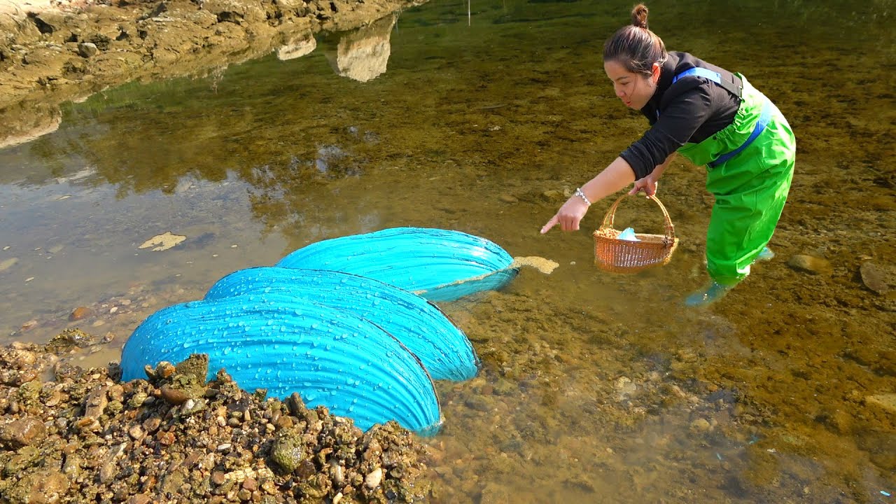 I have discovered the century old mutated blue pearl clams, and opening ...