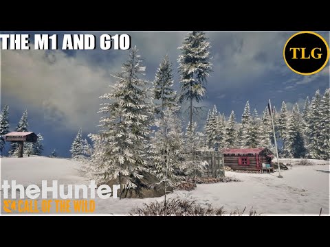 theHunter Call of the wild The M1 & G10 - YouTube