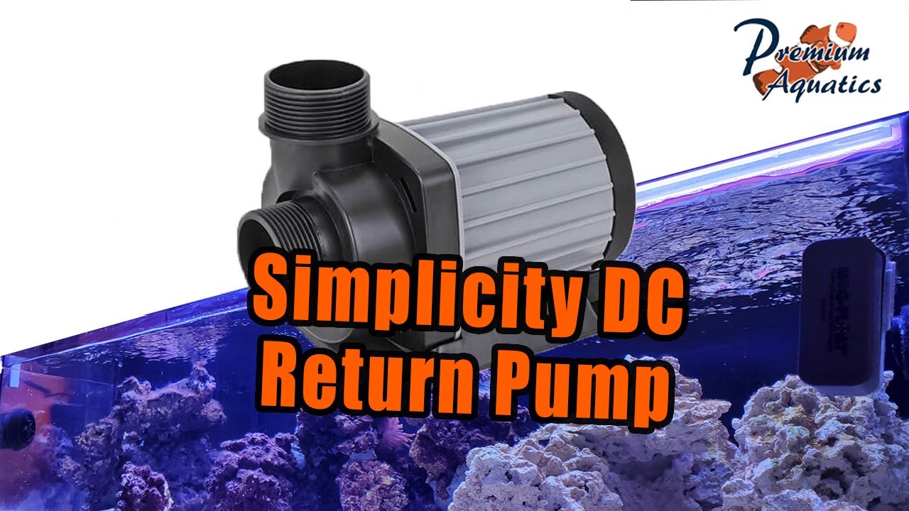 Simplicity DC 1000 Return Pump - YouTube