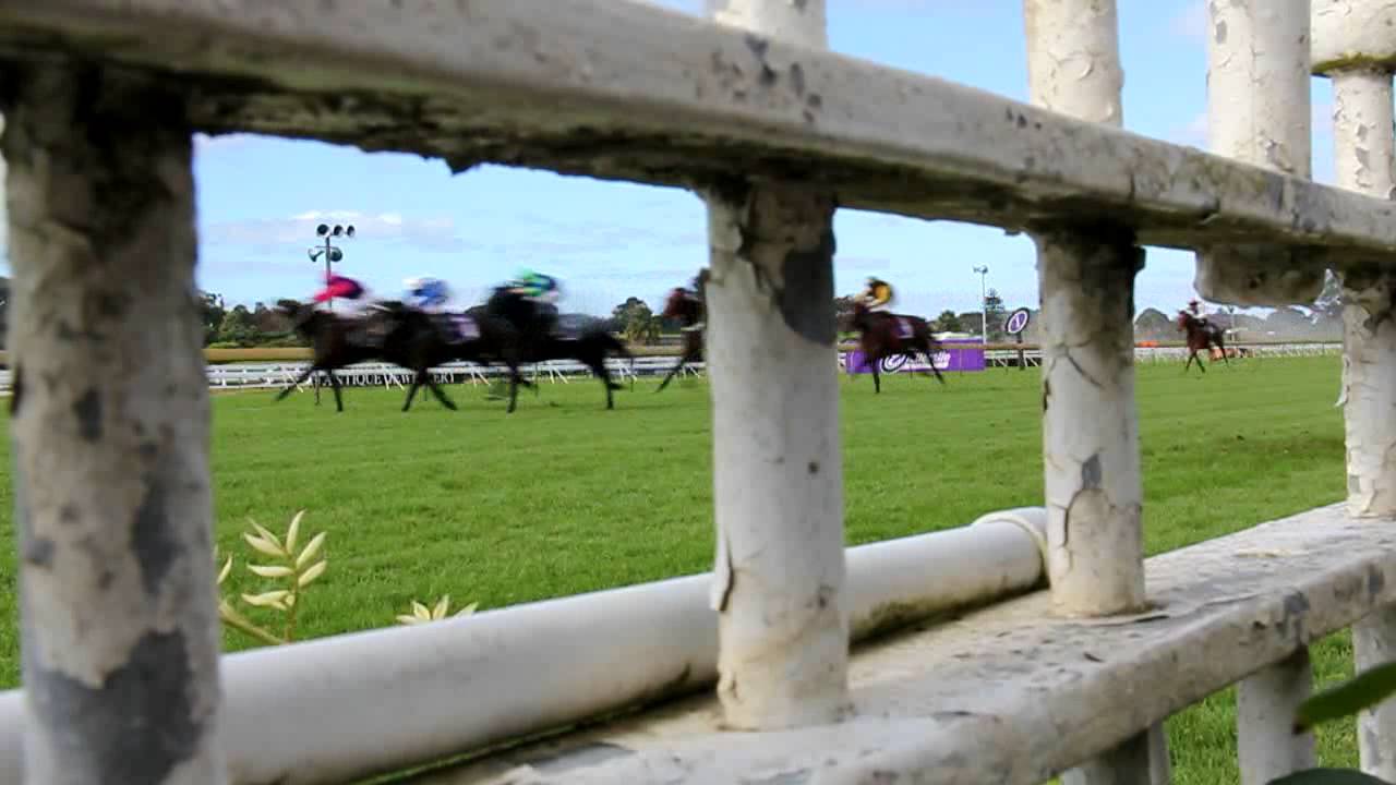The Real Lisa Allpress: All Star Female Jockey - YouTube