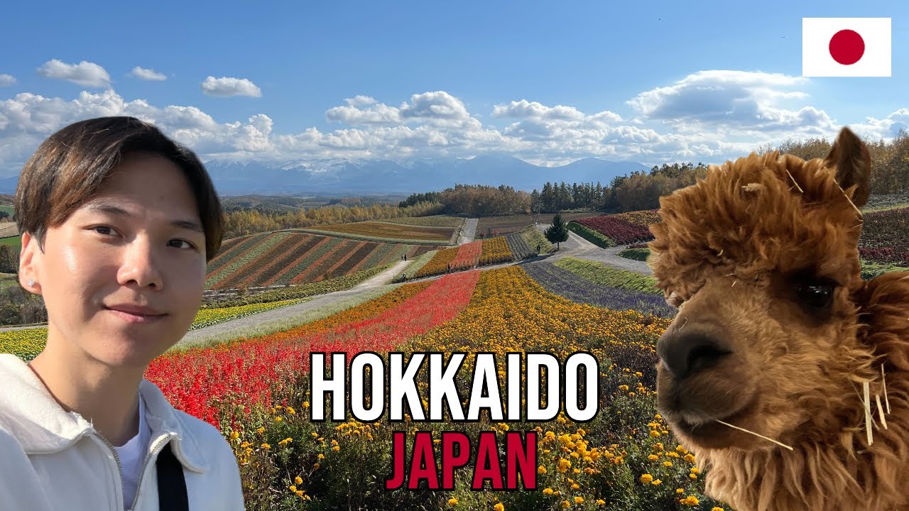 Hokkaido's Flower Farms: Shikisai no Oka and Farm Tomita - YouTube