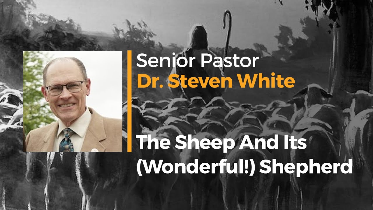 The Sheep And Its (Wonderful!) Shepherd - Pastor Steven White - Sun. AM ...