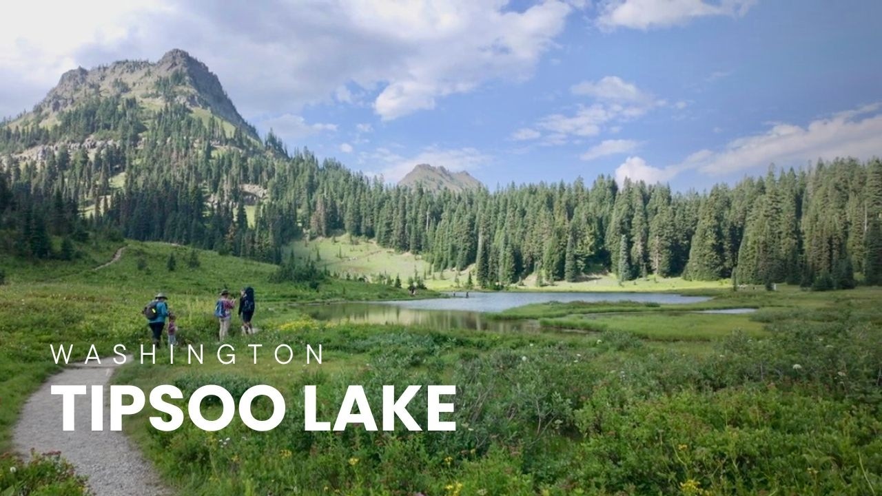 Tipsoo Lake Hike 🪻 Stunning Wildflowers | Mount Rainier, Washington ...