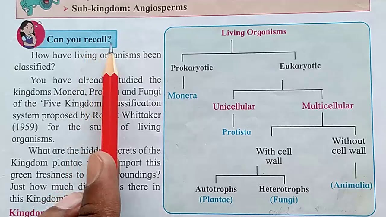 6.Classification of Plants 9th Science - INTRODUCTION | SSC Maharashtra ...