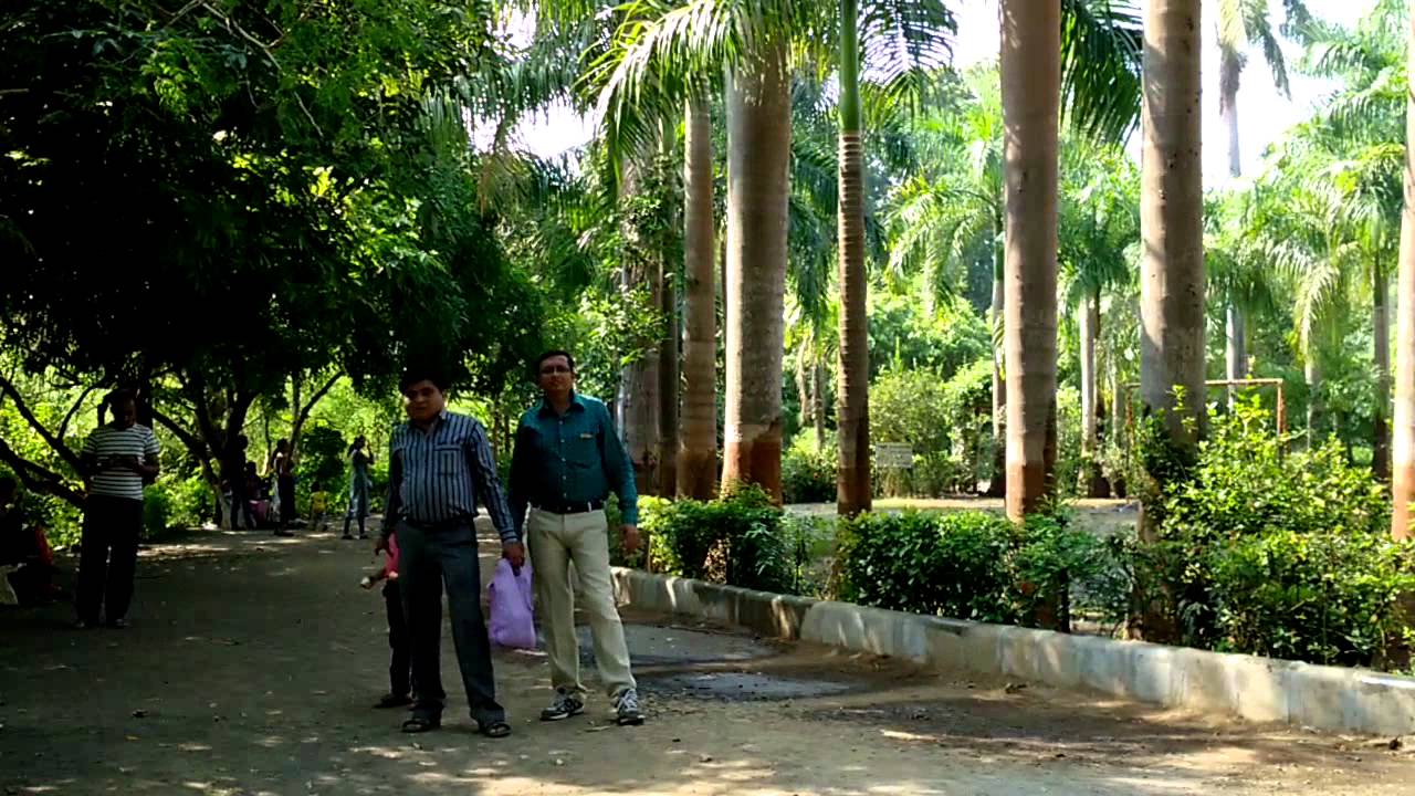Waghai garden - YouTube