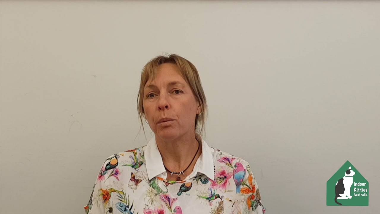 Indoor Kitties Australia - interview with Dr Sarah Legge - YouTube