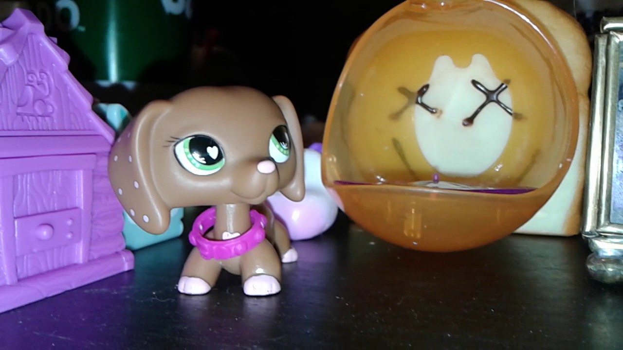 Lps homemade house tour!!first video 💜 - YouTube