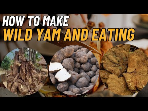 Cooking and Making Wild Yam - YouTube
