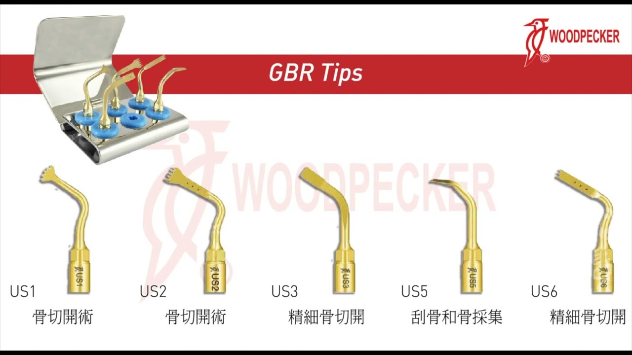 Woodpecker Piezo Tips - YouTube