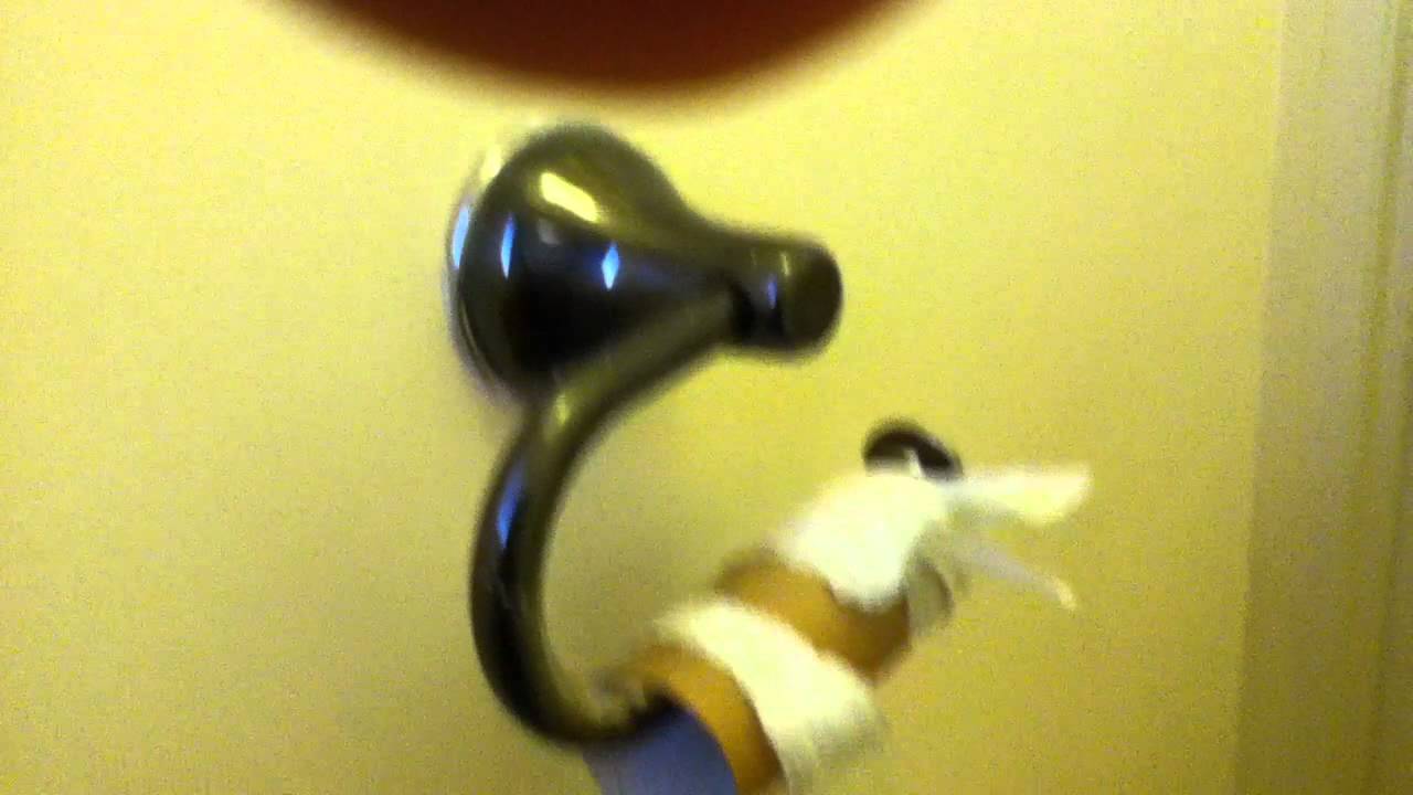 Sleight of Hand Pro. - YouTube