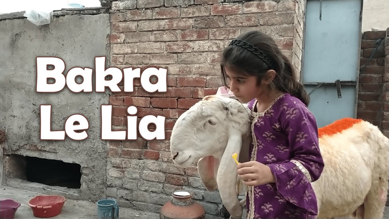 New Bakra le lia qurbani k lye | Bakra k sath vlog - YouTube