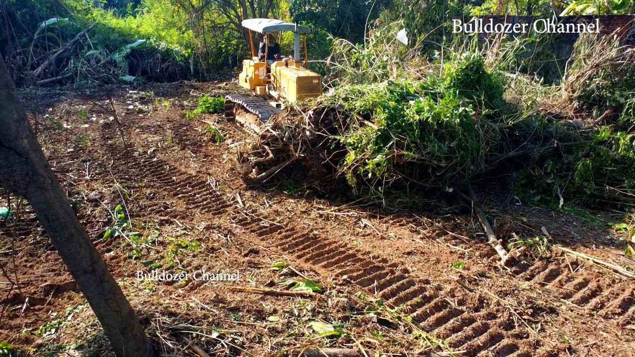 Good Skills Clearing & Big Breakdown In The Mountain By Dozer D31P ...
