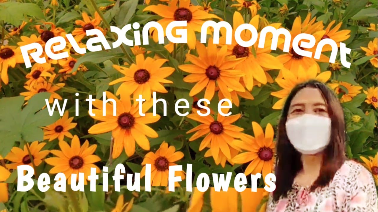 Relaxing Moment with these beautiful Flowers - YouTube