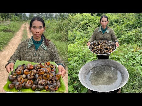 Snail BBQ with Chili Sauce Recipe | How I cook snails in my village ...