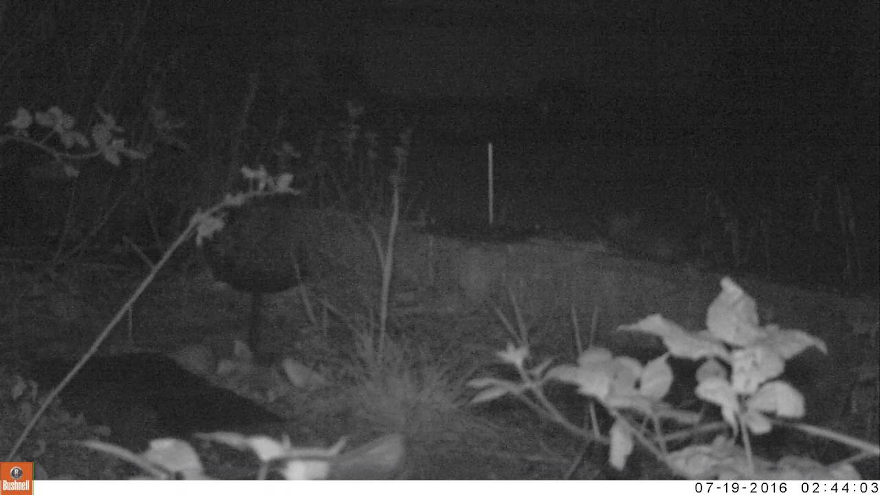 07190028 2 - YouTube