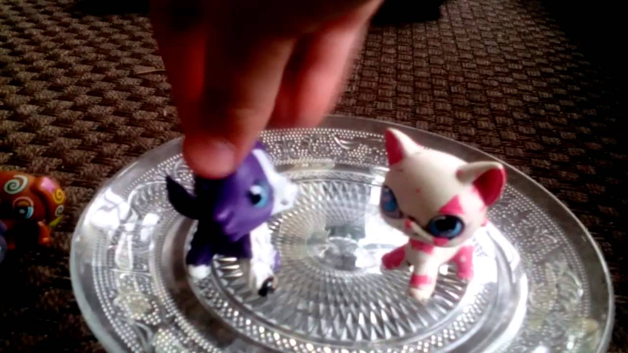 Miss ~Lps 2015~ - YouTube