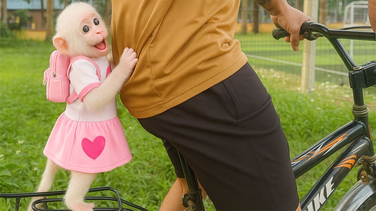 Monkey Molly’s First Fitness Session with Mom’s Husband – Full of ...