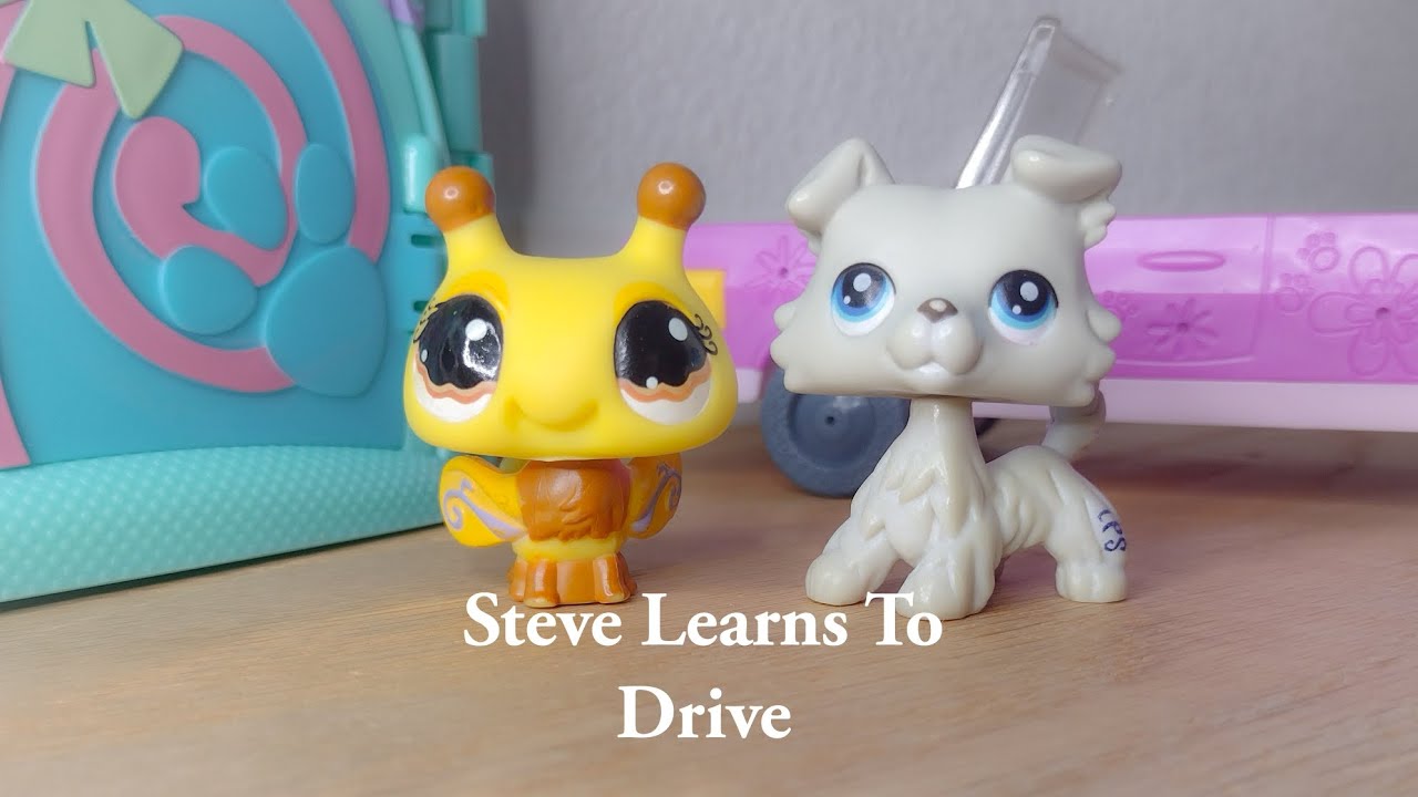 LPS: Steve Learns To Drive (with Honey) - YouTube