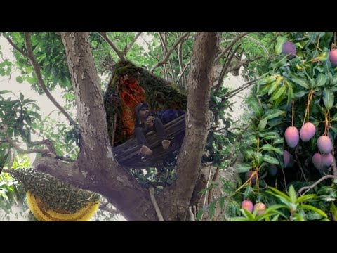 Building a primitive tree house in forest | tree house building in ...