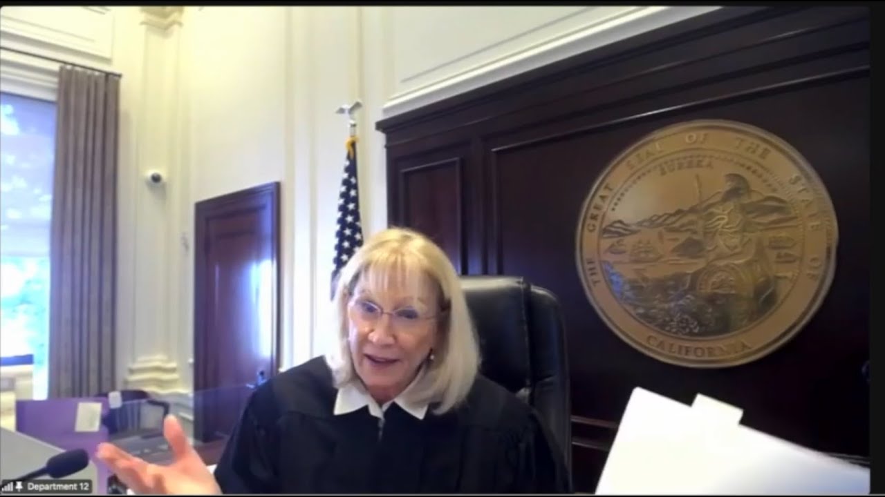 Judge Christine Carringer gets BIG MAD over ADA rights! - YouTube