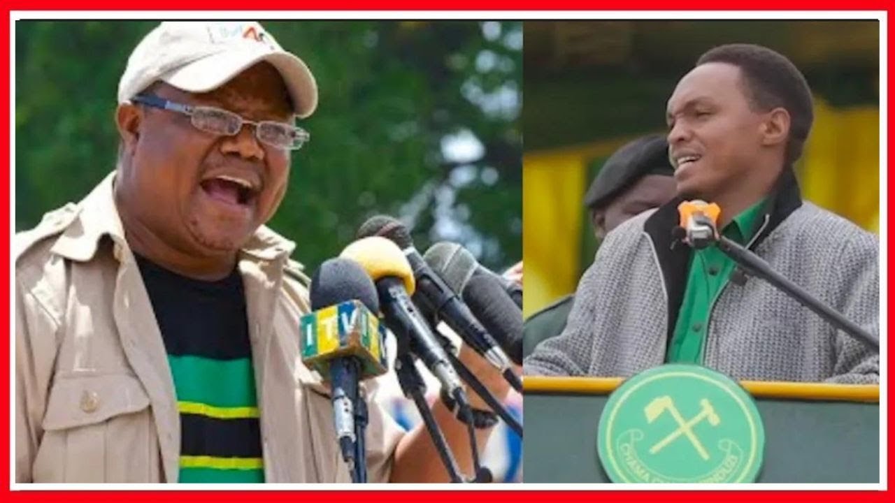 ALLY HAPI AMVAA TUNDU LISSU MCHANA KWEUPE - "MZEE MWINYI ALITOKA ...