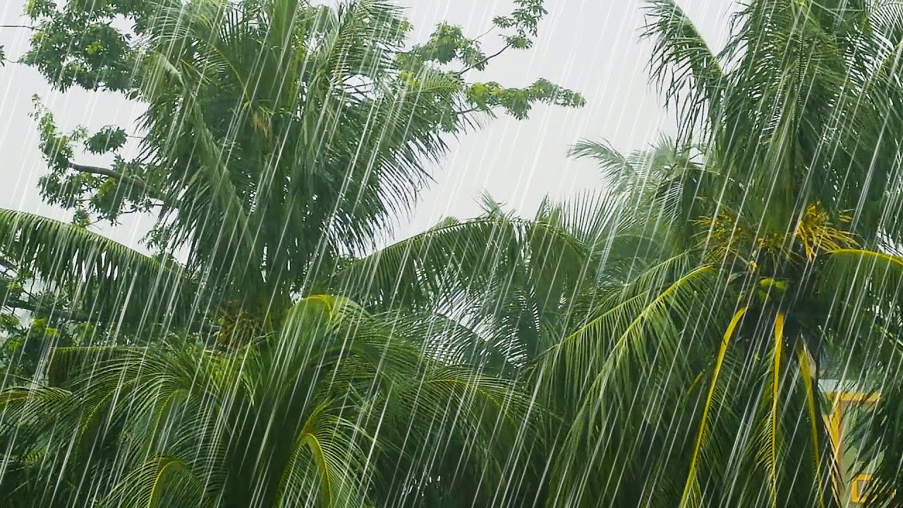 Heavy rain, strong winds, thunder, relaxing, deep sleeping - YouTube