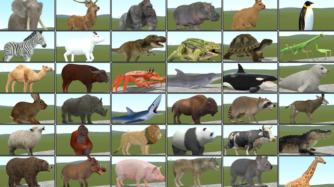 I Played Death Match Game With All ZOOCHOSIS MUTATED ANIMALS In Garry's ...