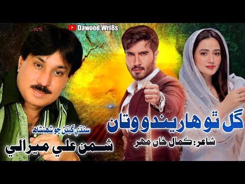 Gul Tho Harendo Watan _ Shaman Ali Mirali _ Dil Ja Badshah _ Album 08 _ 2021 _ Dawood Wri8s