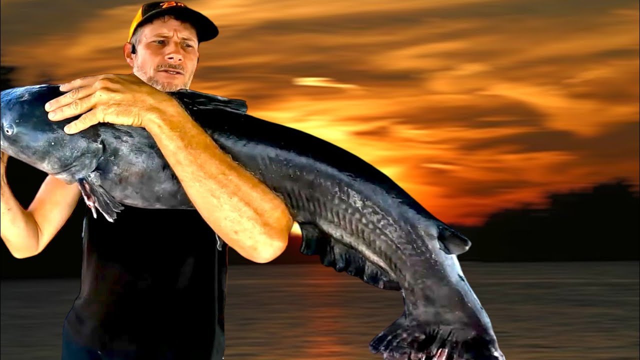 Morning Vs Afternoon , When do Catfish bite better - YouTube