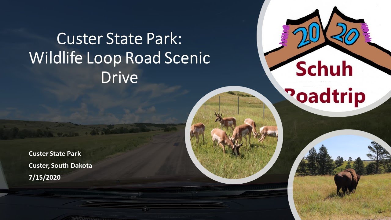 Custer State Park - Wildlife Loop Road Scenic Drive - YouTube