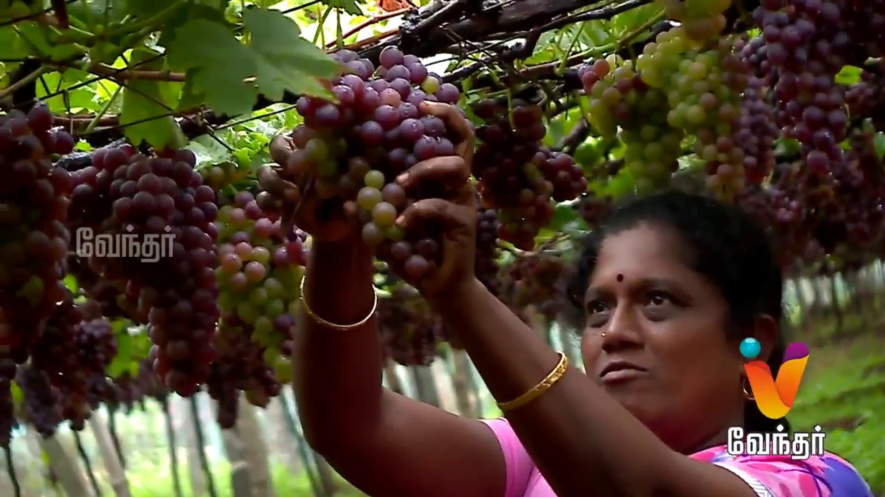 Pincode | Theni Special | [Epi-32] (29/07/17) - YouTube