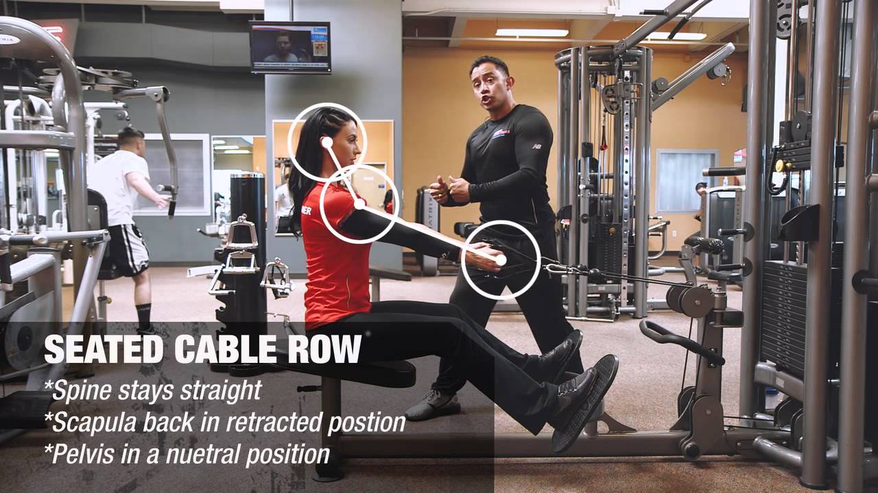 Seated Cable Row - YouTube