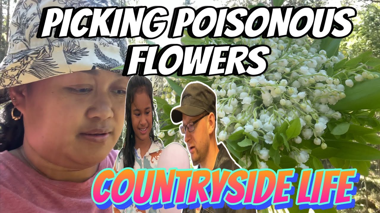 PICKING POISONOUS FLOWERS|| COUNTRYSIDE LIFE | THE LINDEMANS - YouTube