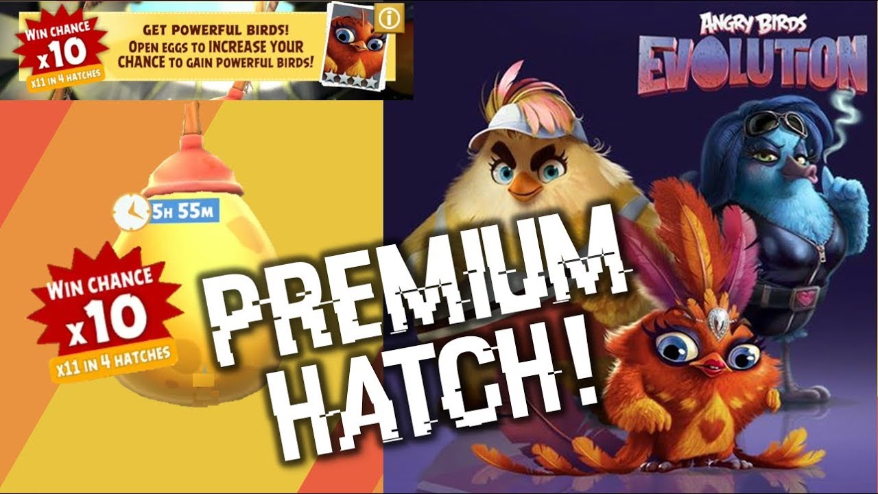X10 Premium Hatch! | Angry Birds Evolution - YouTube