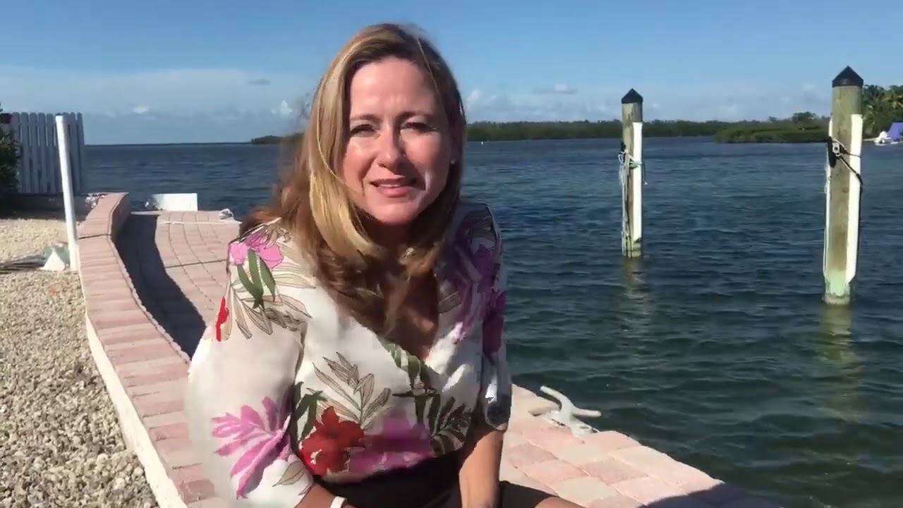 Debbie Mucarsel-Powell (FL-26) to Blue Revolution - YouTube