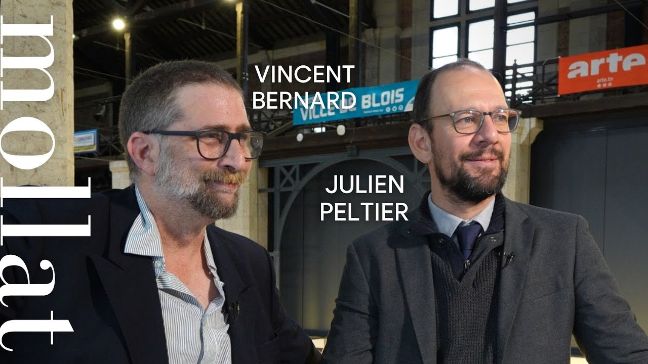 Vincent Bernard et Julien Peltier - Histoire de la guerre en ...