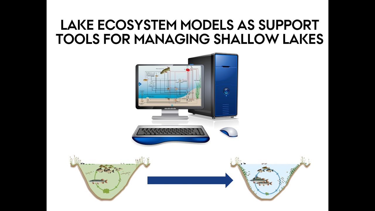 Lake ecosystem models as support tools for managing shallow lakes - YouTube
