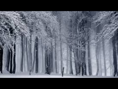 Harry Stoneham Arrangement Of John & Paul’s Classic. - YouTube