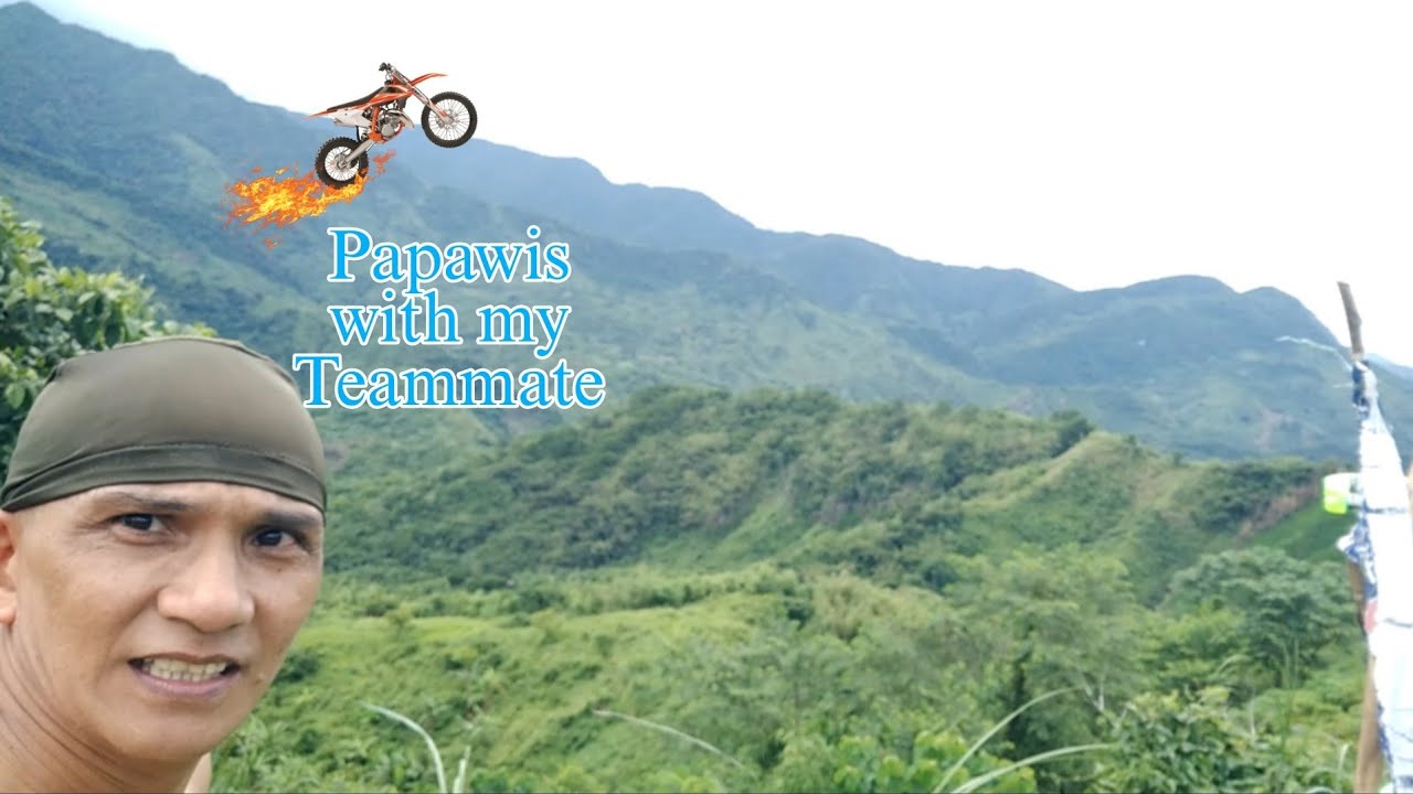 Papawis with my Teammate - YouTube