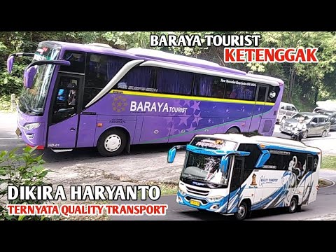 Bus Baraya Tourist Ketenggak Apes,TerataiBintang,MajuLancar ...